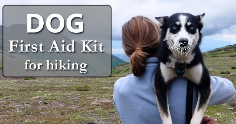 Dog First Aid Kit: Checklist for Hiking, Camping, and Backpacking - Mom ...