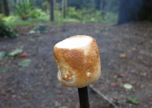 Best Marshmallow Sticks for Mastering S’mores - Mom Goes Camping