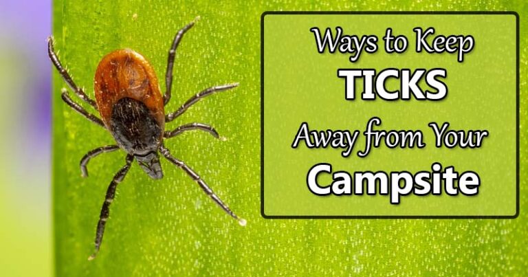 10 Ways to Keep Ticks Away from Your Campsite